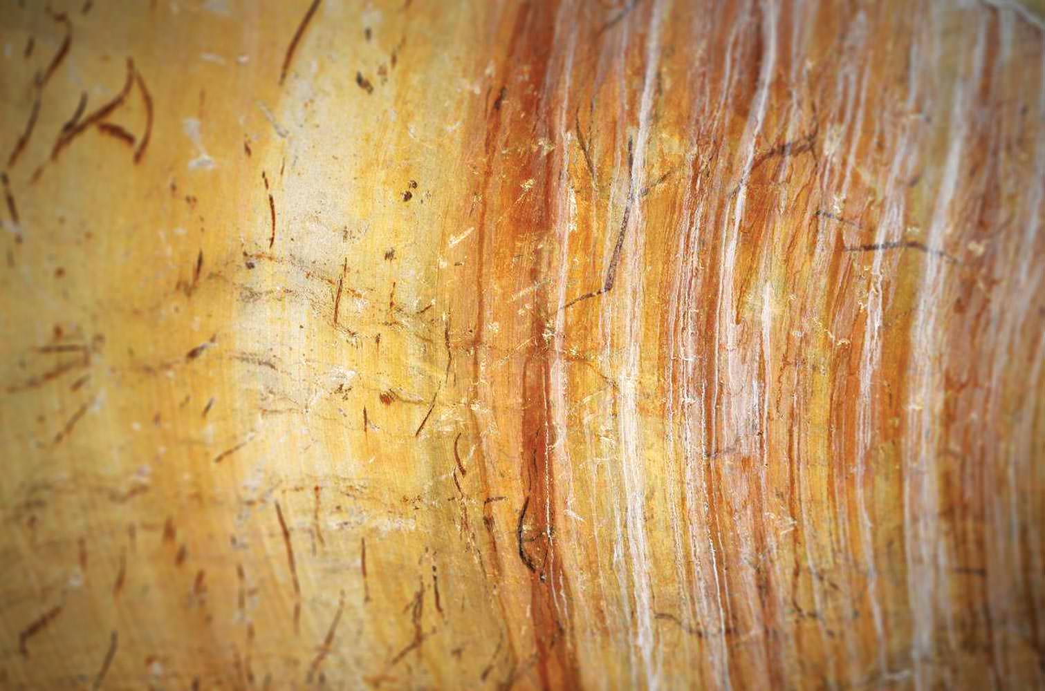 Contact Us | TAB Surfaces